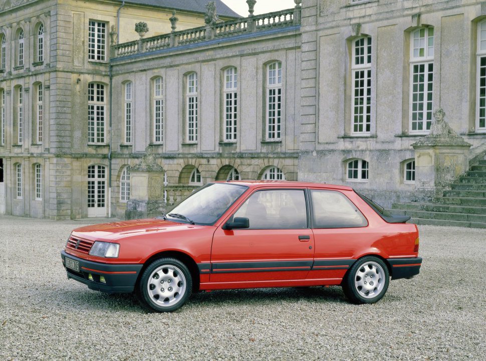 Peugeot 309 technical specifications and fuel economy